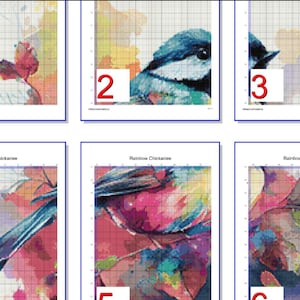 Rainbow Chickadee Cross Stitch Pattern | Full Coverage | 264x264 | Bird ...