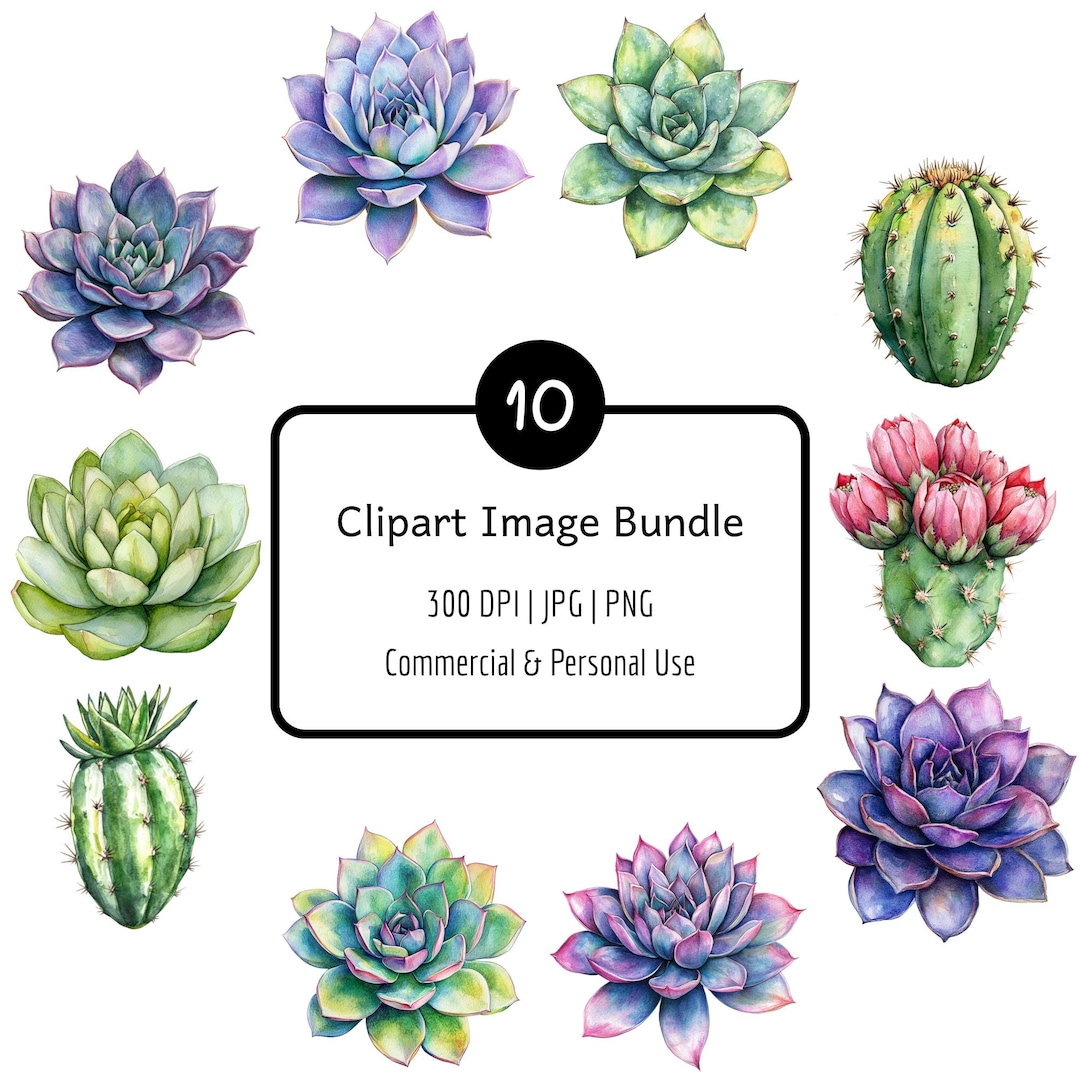 10 Watercolour Succulent Cactus Clipart Bundle, PNG & JPG, 300 DPI ...