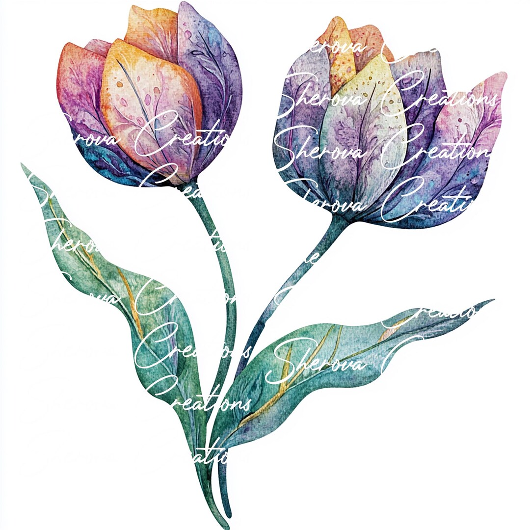 Watercolor Flower Clipart Bundle, Floral Illustration (JPG) - Etsy