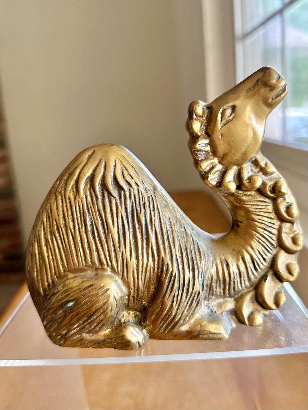 Brass One Hump Seated Camel With Head up Wooly Mane and Neck With ...