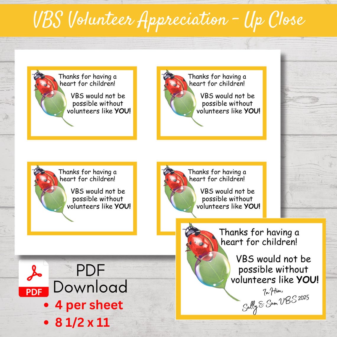 VBS Volunteer Appreciation Tags up Close Themed | Vacation Bible School ...