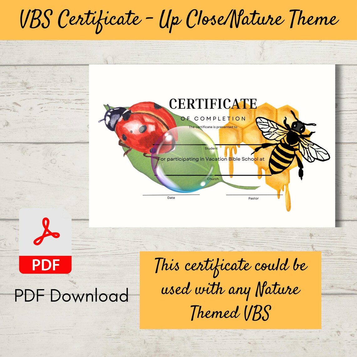 Vacation Bible School - Certificate of Completion up Close/nature Theme ...