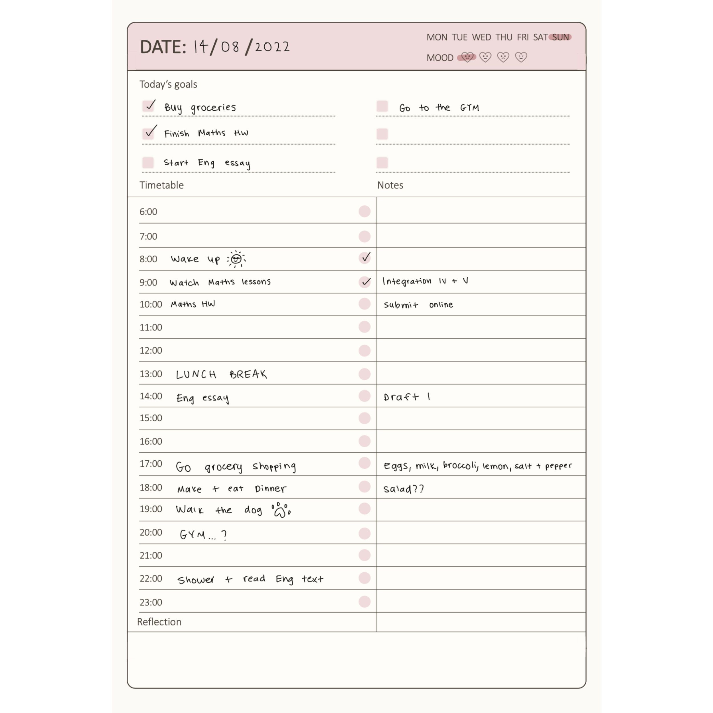 Daily Hourly Planner, Instant Download, Pink Digital Planner, Undated ...