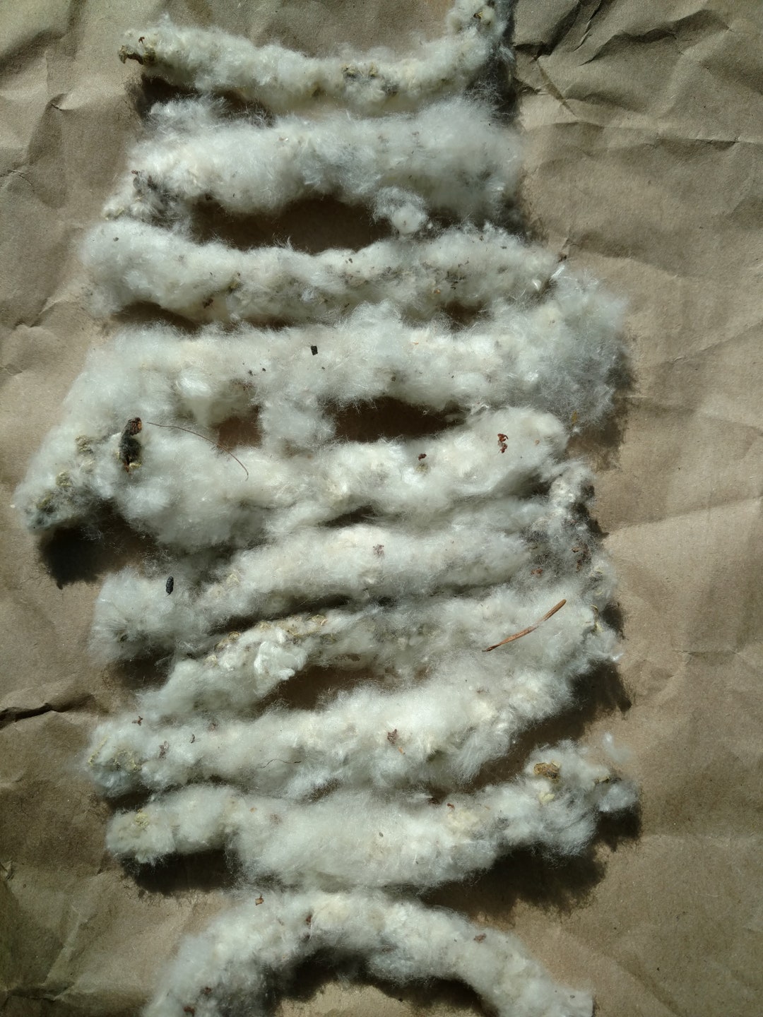 Cottonwood Seed Puffs - 100% Natural - Etsy