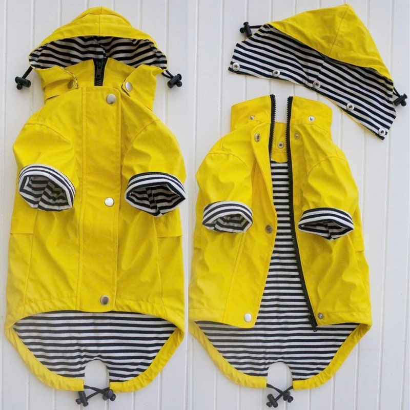 Dog Raincoat - Etsy