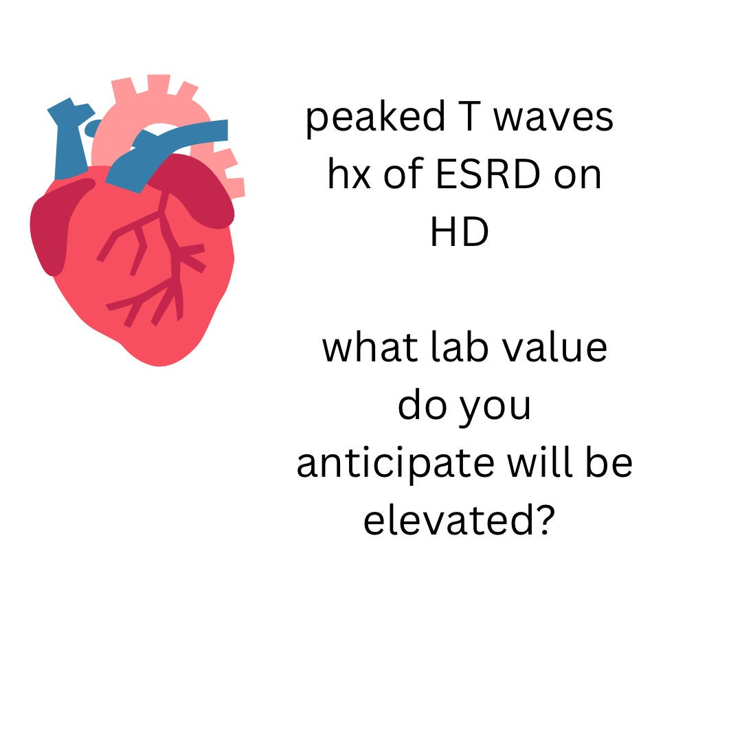 CCRN Cardiac Notes & Questions Digital File Instant Download 149 Pages ...