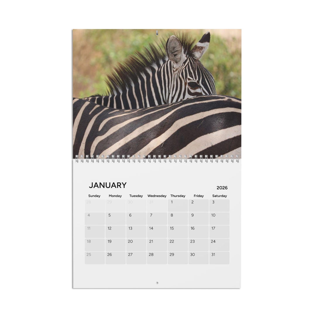 Wildlife Photo Calendar 2026 Wall Calendar | Zebra & Nature Photography ...
