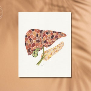 Mosaic Liver, Galbladder, Pancreas Watercolor Print, Anatomy Art, Liver ...