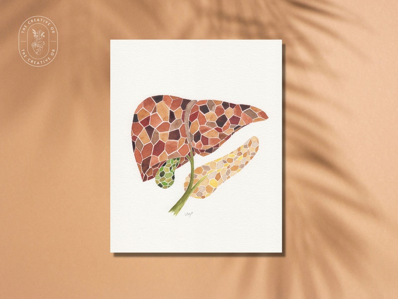 Mosaic Liver Anatomy Watercolor Print, Medical Art - Etsy