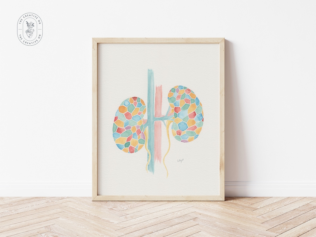 Mosaic Kidneys Watercolor Print, Anatomy Art, Kidneys Painting, Medical ...