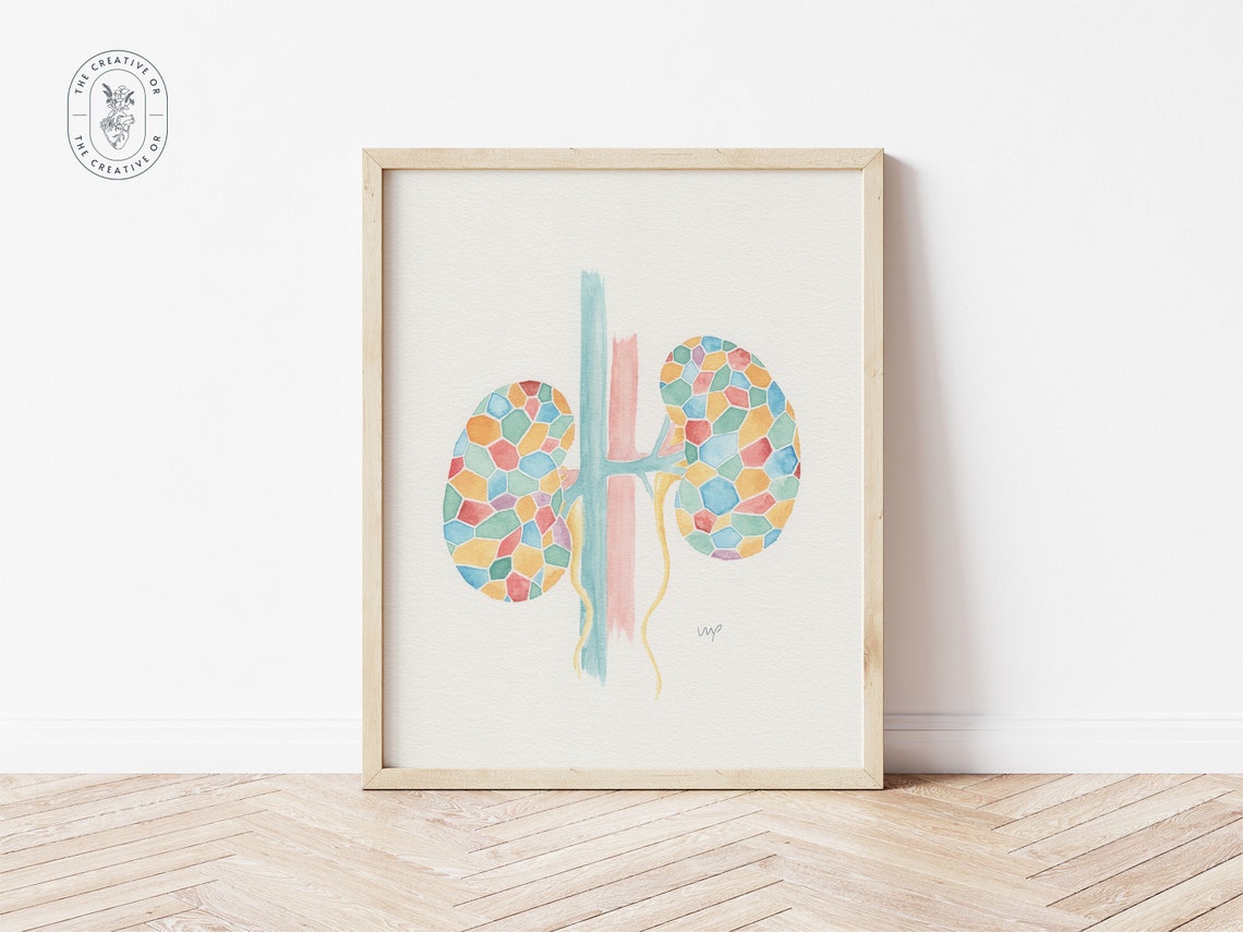 Mosaic Kidneys Watercolor Print, Anatomy Art, Kidneys Painting, Medical ...