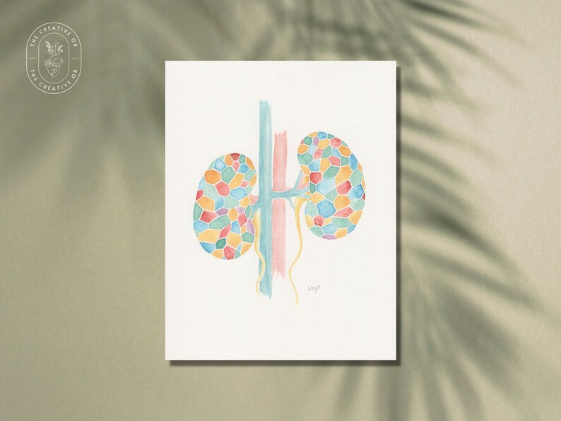 Mosaic Kidneys Watercolor Print, Anatomy Art, Kidneys Painting, Medical ...