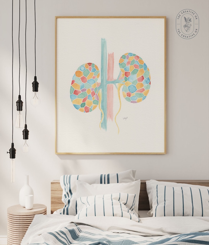 Mosaic Kidneys Watercolor Print, Anatomy Art - Etsy