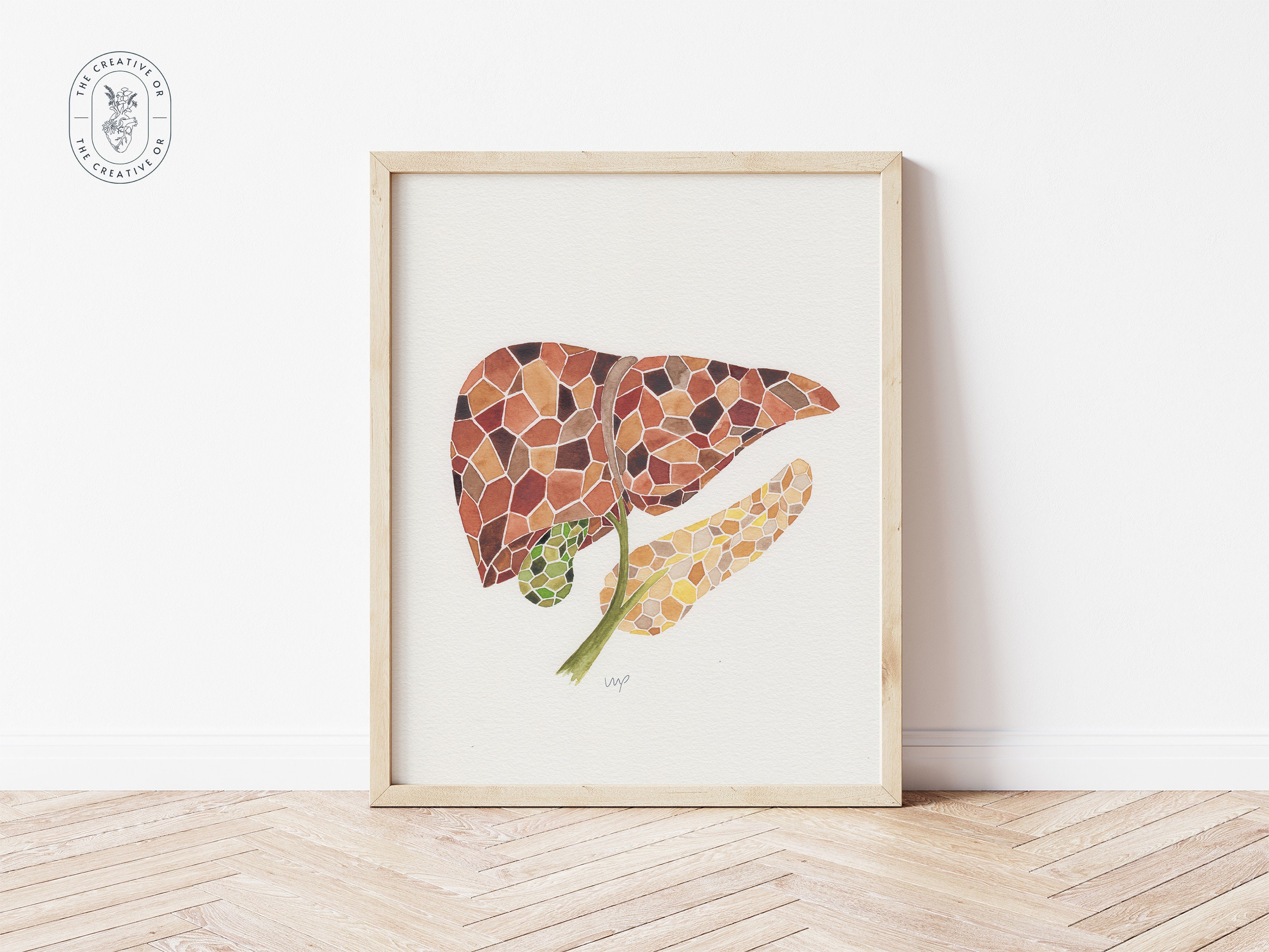 Mosaic Liver, Galbladder, Pancreas Watercolor Print, Anatomy Art, Liver ...