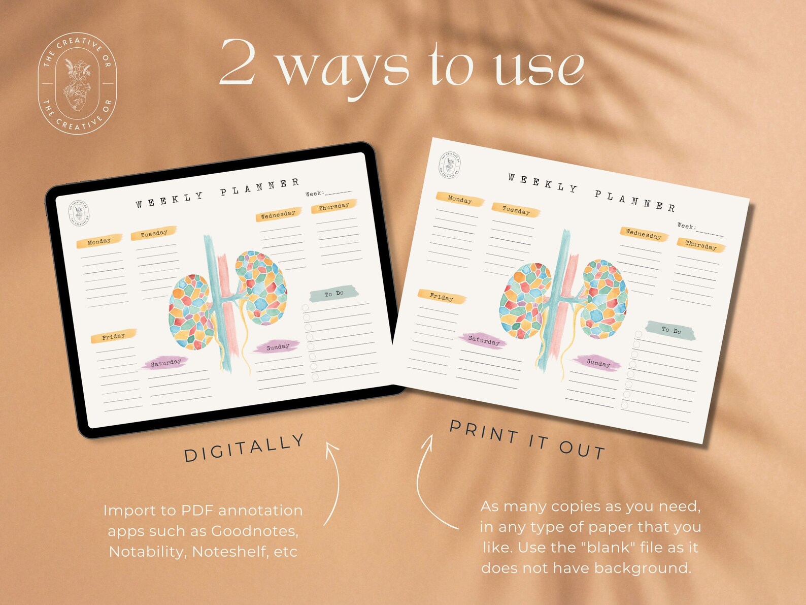 Watercolor Kidneys Weekly Planner | Artsy To-do List (digital Download ...