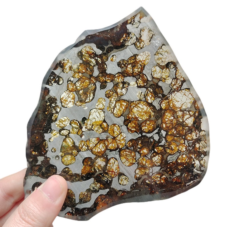 92.5g Brenham Meteorite Slices Pallasite Meteorite Specimen Qa114 - Etsy