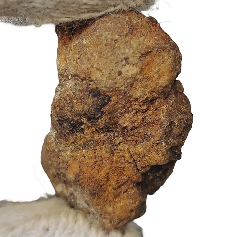 PALLASITE Meteorite Sericho Primitive Olivine Meteorite Specimen ...