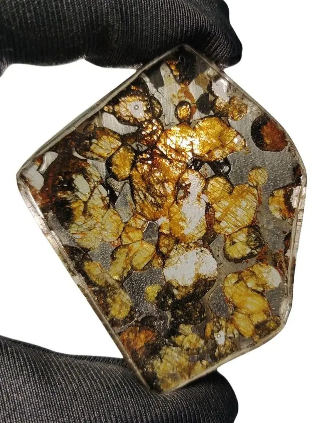 17.4g Seymchan Pallasite Meteorite Slice Russian SYMCAN suicheng ...