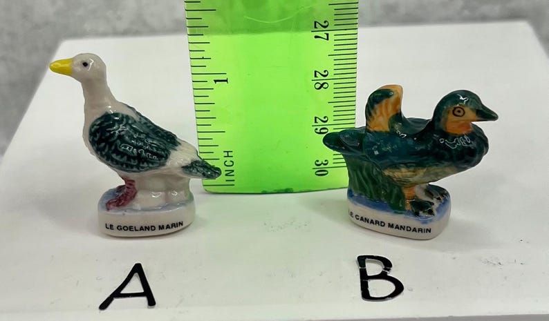 Tiny Birds Varieties: Duck Goose Pelican Swan Seagull Coot Grebe ...