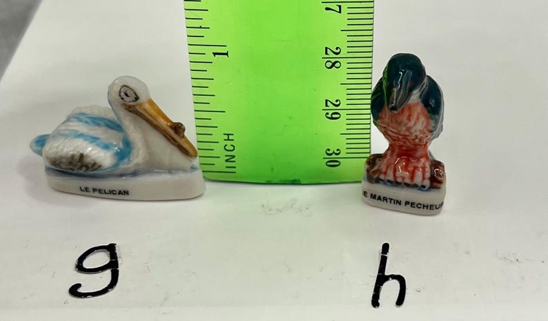 Tiny Birds Varieties: Duck Goose Pelican Swan Seagull Coot Grebe ...
