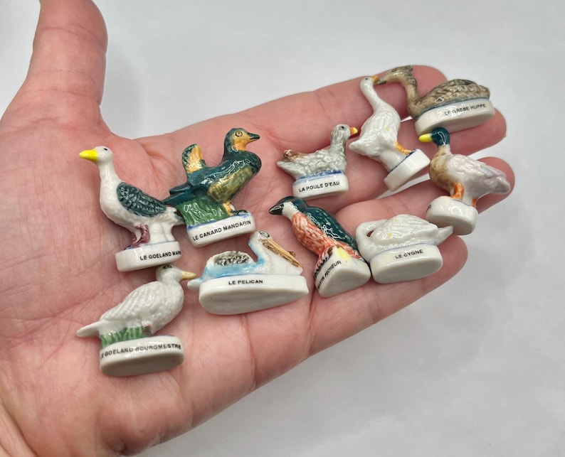 Tiny Birds Varieties: Duck Goose Pelican Swan Seagull Coot Grebe ...
