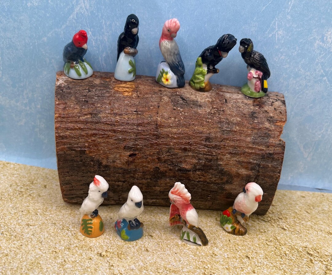Tiny Birds Parakeets Cockatiel Cockatoo Parrot Macaw Pet Aviary Black ...