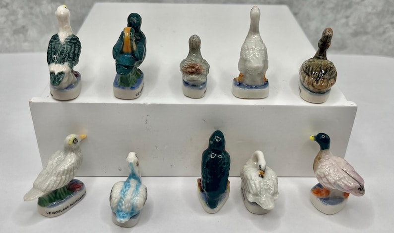 Tiny Birds Varieties: Duck Goose Pelican Swan Seagull Coot Grebe ...