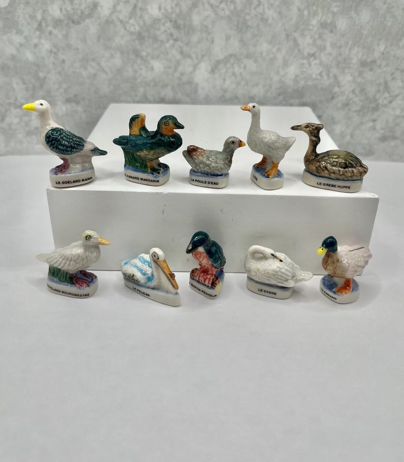 Tiny Birds Varieties: Duck Goose Pelican Swan Seagull Coot Grebe ...