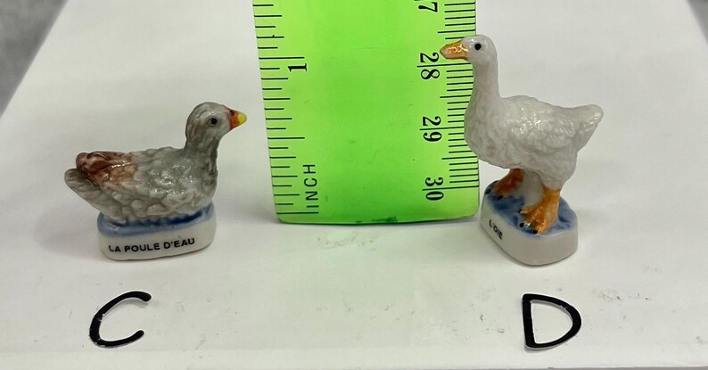 Tiny Birds Varieties: Duck Goose Pelican Swan Seagull Coot Grebe ...