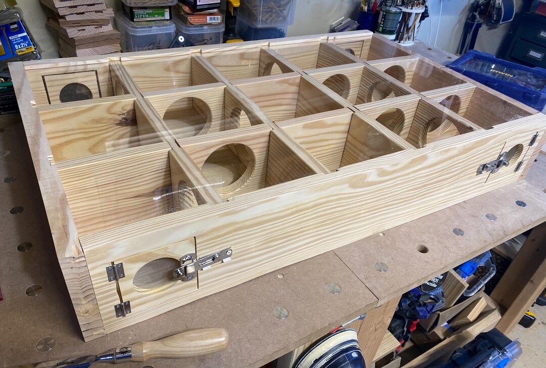 Chinchilla Maze, Rat Maze, Guinea Pig Maze, Small Animal Toy - Etsy