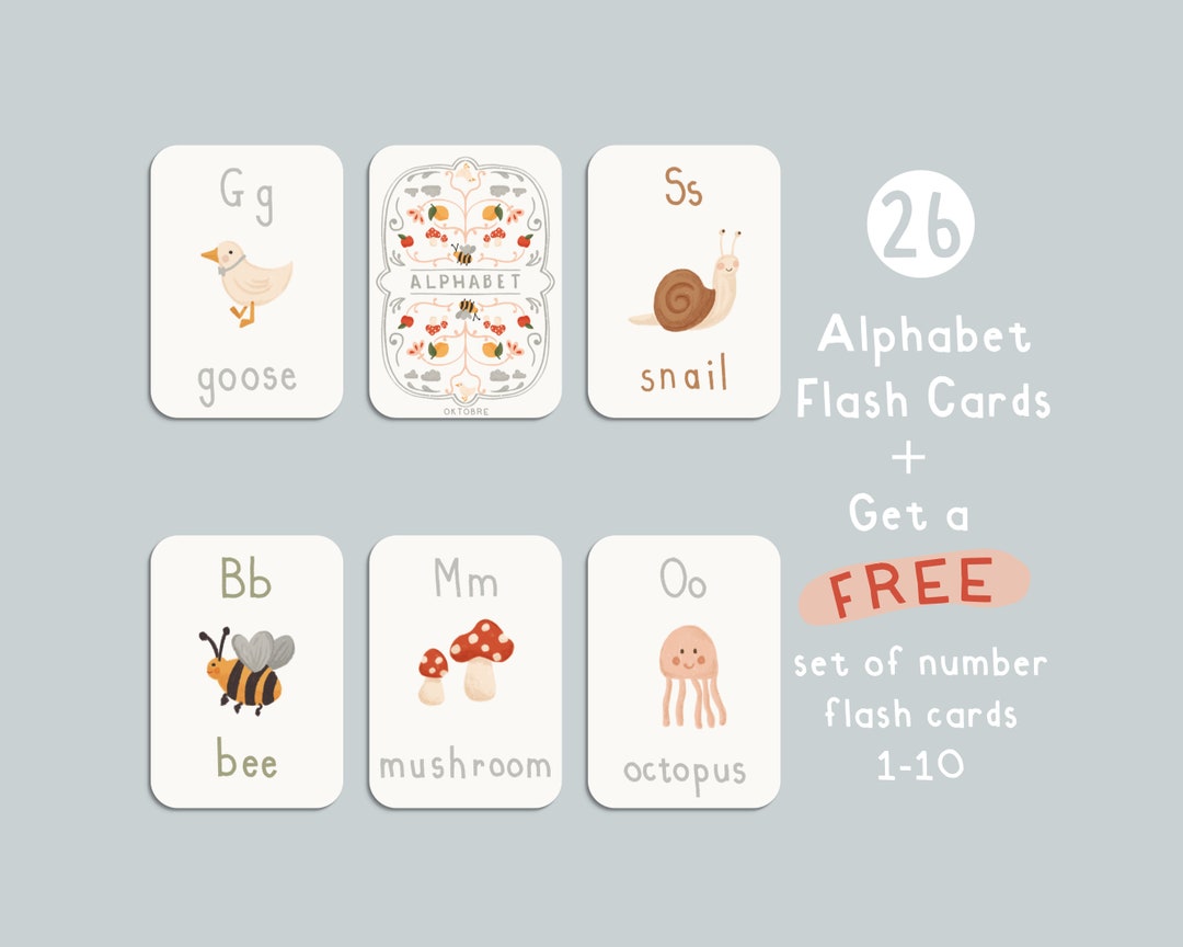 Alphabet Flash Cards Large Flash Card Educational Flashcards ...