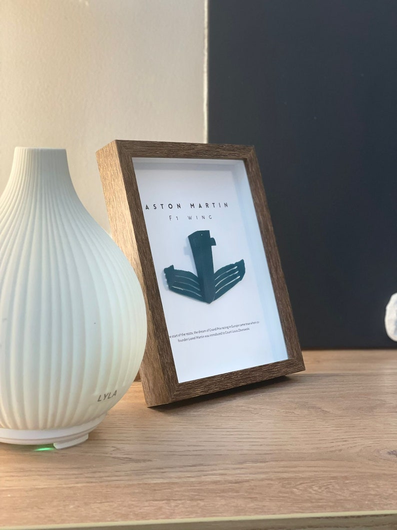 F1 Team Wing Frames - Etsy