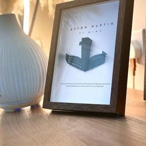 F1 Team Wing Frames - Etsy