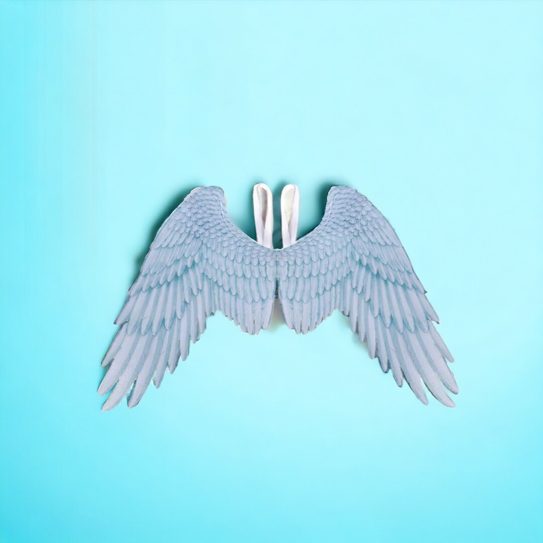 Angel Wings Non-woven Fabric Festive Party Angel Wings Suitable for Men ...