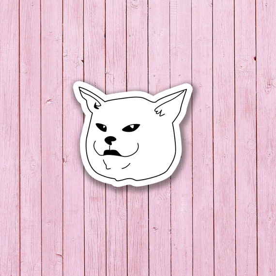 Confused Cat Computer