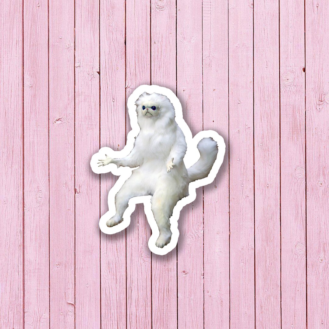 Funny Persian Cat Sticker Cat Meme Stickers Laptop Stickers - Etsy