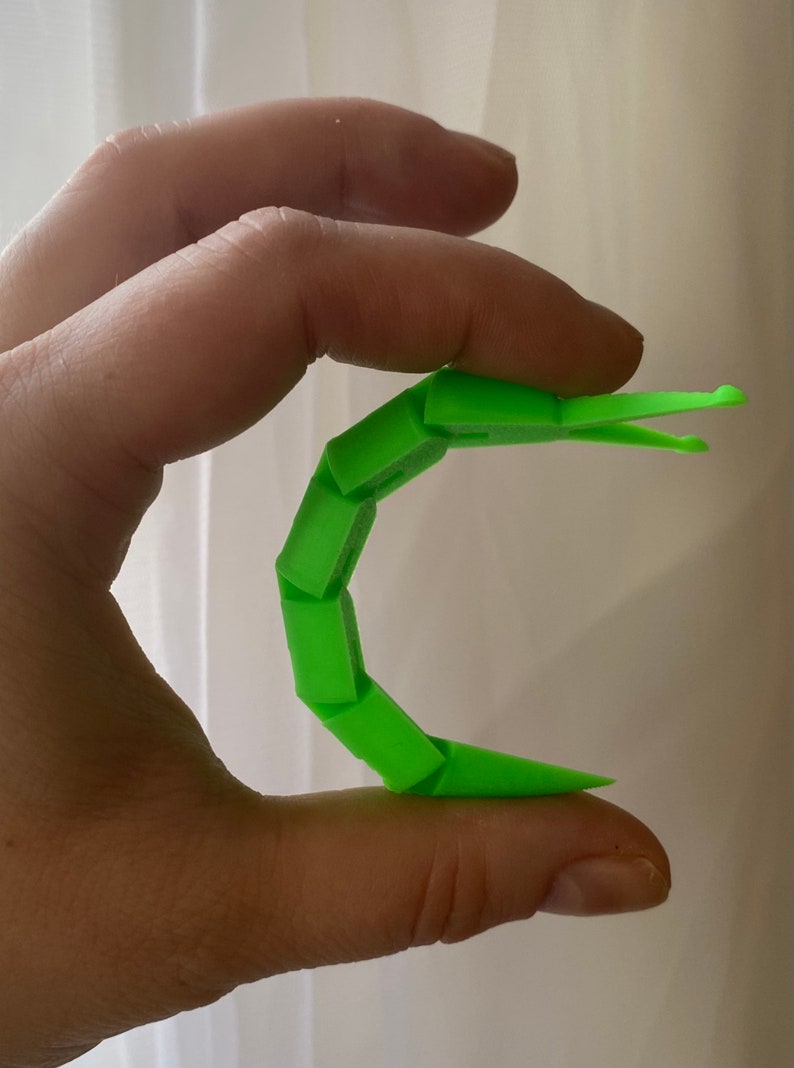 3D Printed Slug Flexible Fidget Toy - Etsy