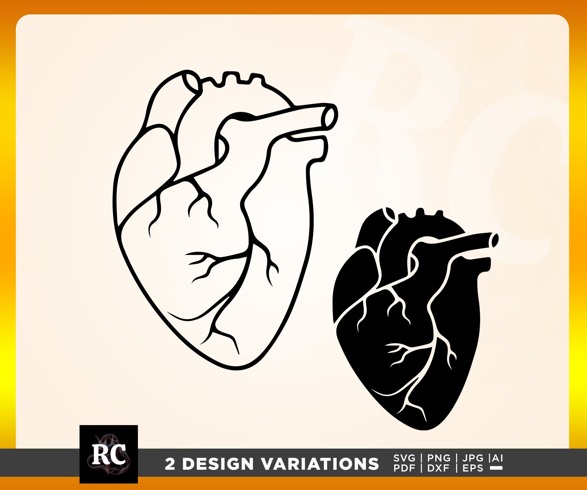 Anatomical Heart Svg, Heart Svg, Human Heart Clip Art Decal, Nurse Life ...