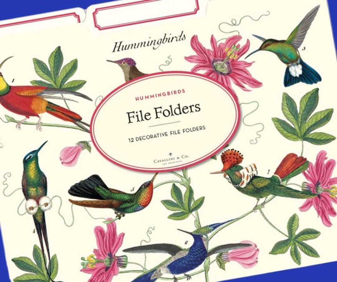 Cavallini Folders Sale