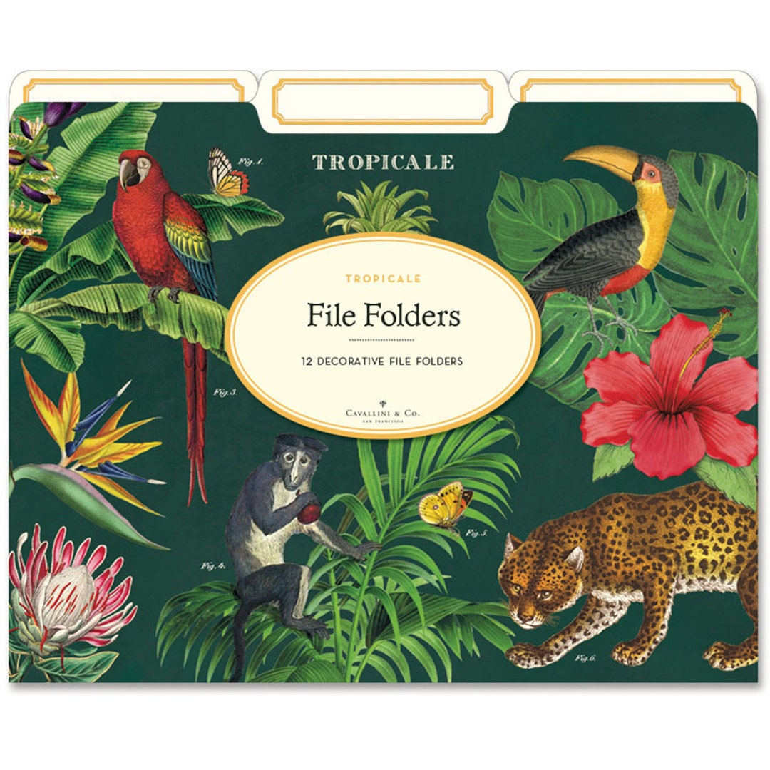 Tropical Theme Image File Folders From Cavallini, Crafting, Organizing ...