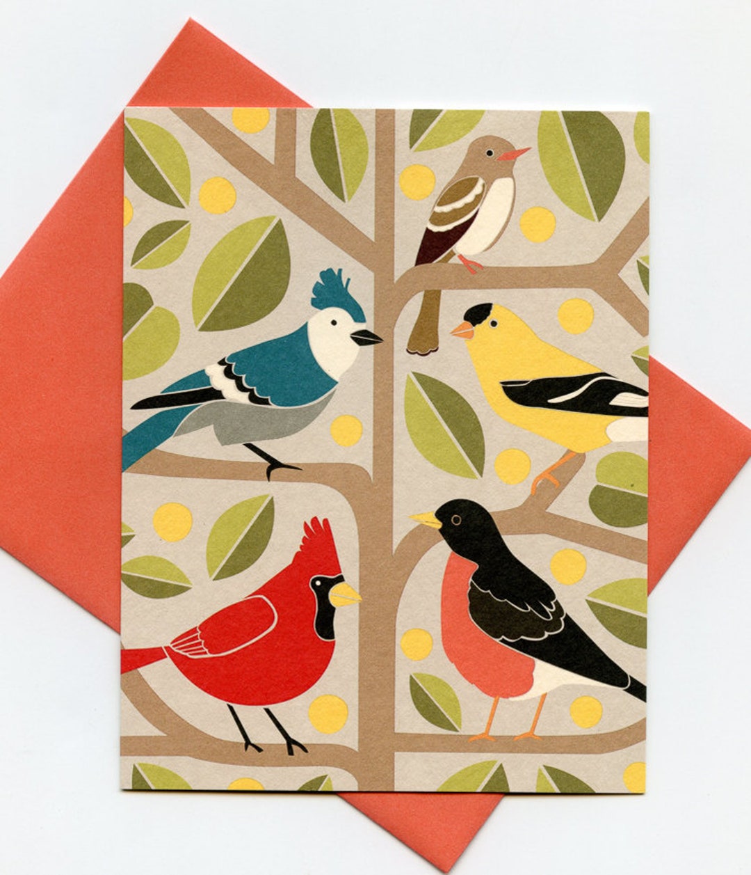 Birds Notecards, Boxed Set, Cardinal, Blue Jay, Goldfinch, Robin, Set ...