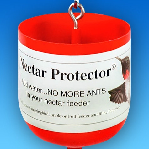 Hummingbird Ant Moat Nectar Protector - Etsy