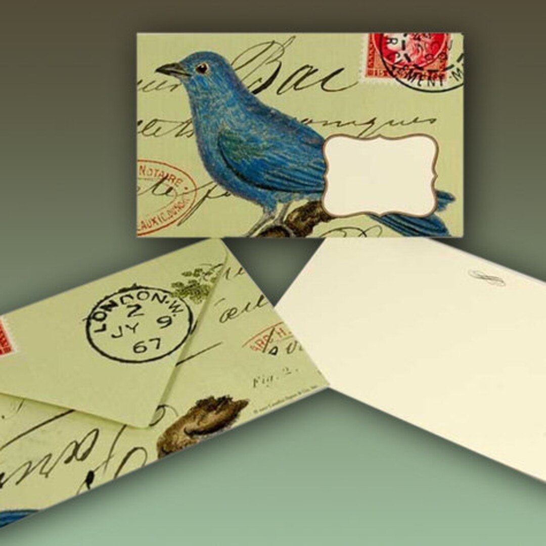 Vintage Bird Blue Notecard Set From Cavallini and Company - Etsy