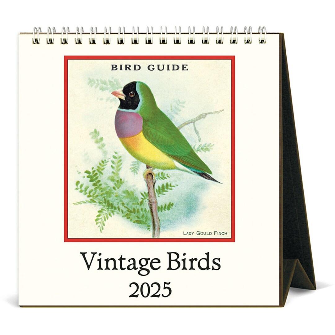 Bird Watching 2025 Desk Calendar, Beautiful Vintage Bird Images by ...
