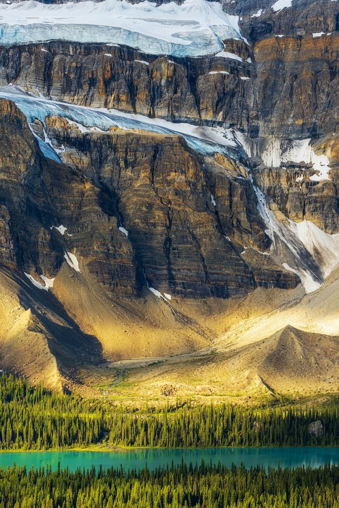 Bow Lake Glacier Vertical Wall Art Bow Lake Vertical Banff - Etsy