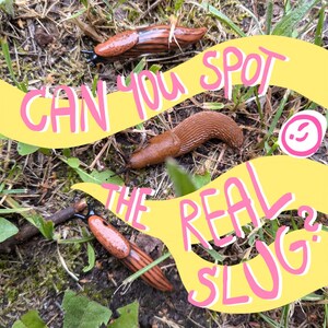 Brown Slug Hairpin, Realistic Big Red Slug Jewellery, Hair Clip, Hair ...