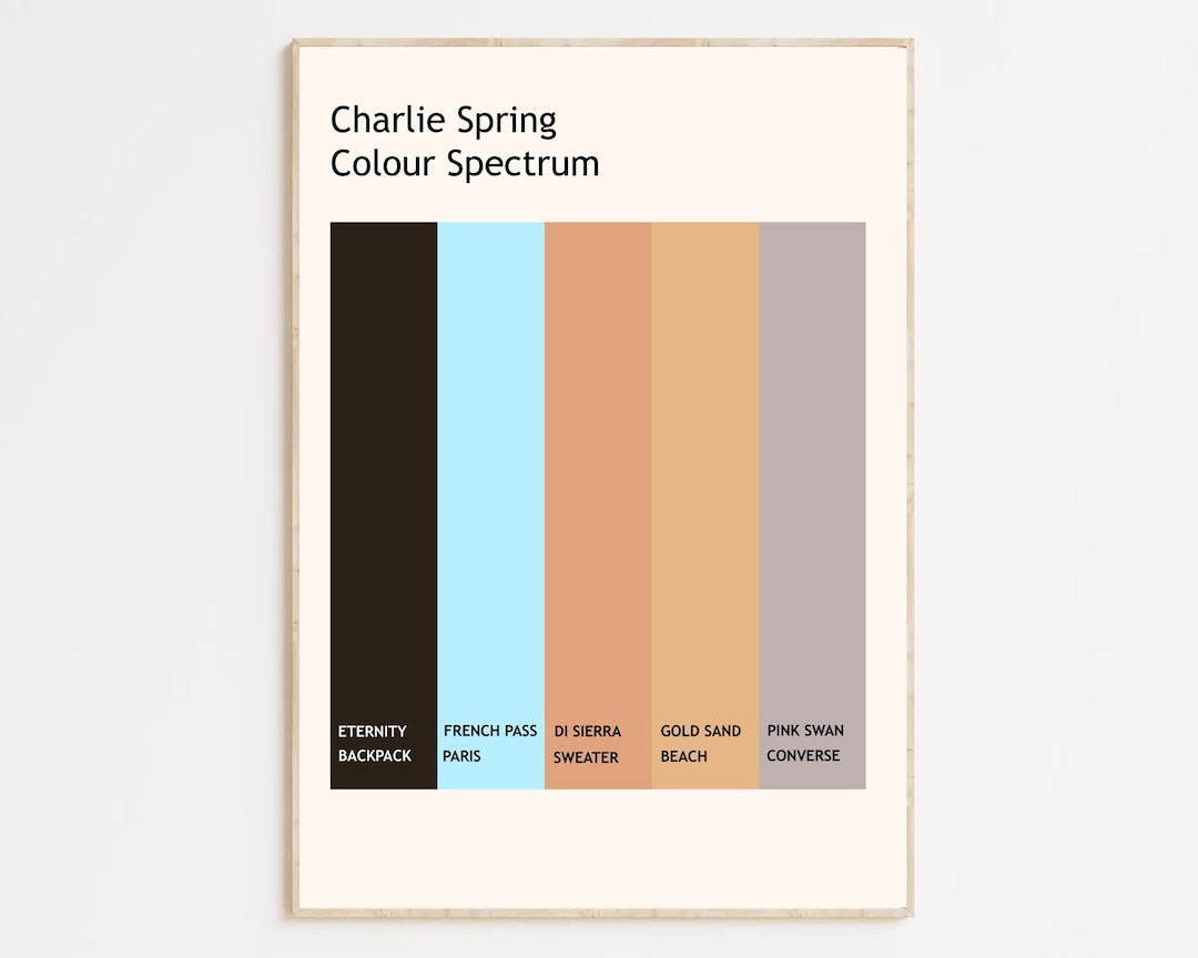 Charlie Spring Heartstopper Poster – Paris French Pass & Pink Swan ...