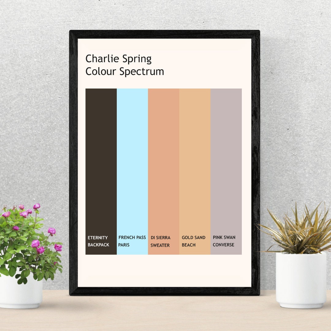 Charlie Spring Heartstopper Poster – Paris French Pass & Pink Swan ...