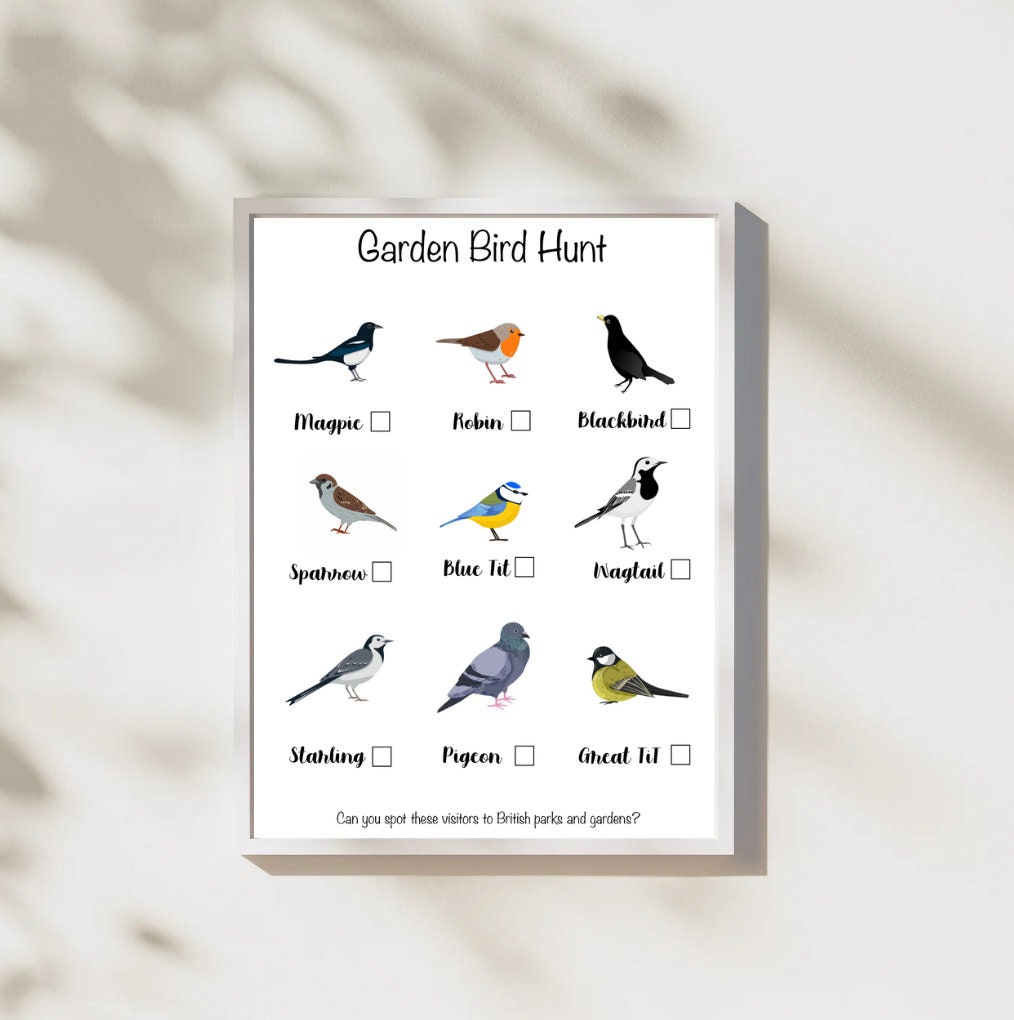 Bird Hunt Printable for Kids | I-spy of Common British Garden Birds - Etsy