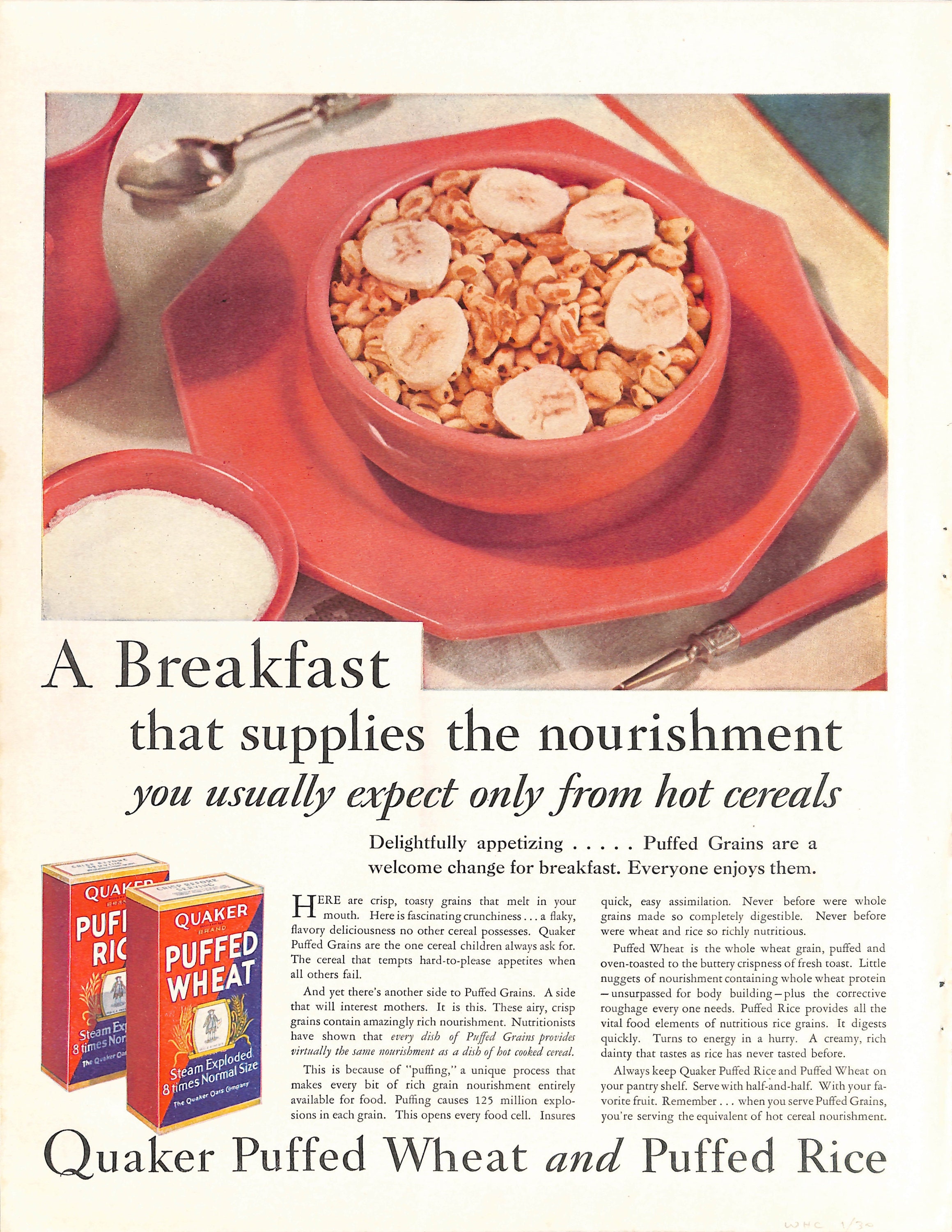 Puffed Wheat Cereal Canada Cheapest Buy | www.oceanproperty.co.th